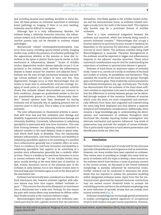 Enthesis: A brief review | PDF