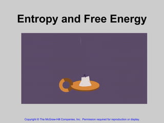 The Fundamental of Chemistry - Entropy and Gibbs Energy | PPT