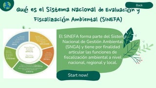 ENTIDAD DE FIZCALIZACION AMBIENTAL.pptx