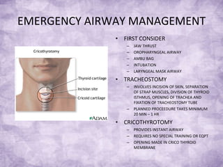 Ent in General Practice | PPT