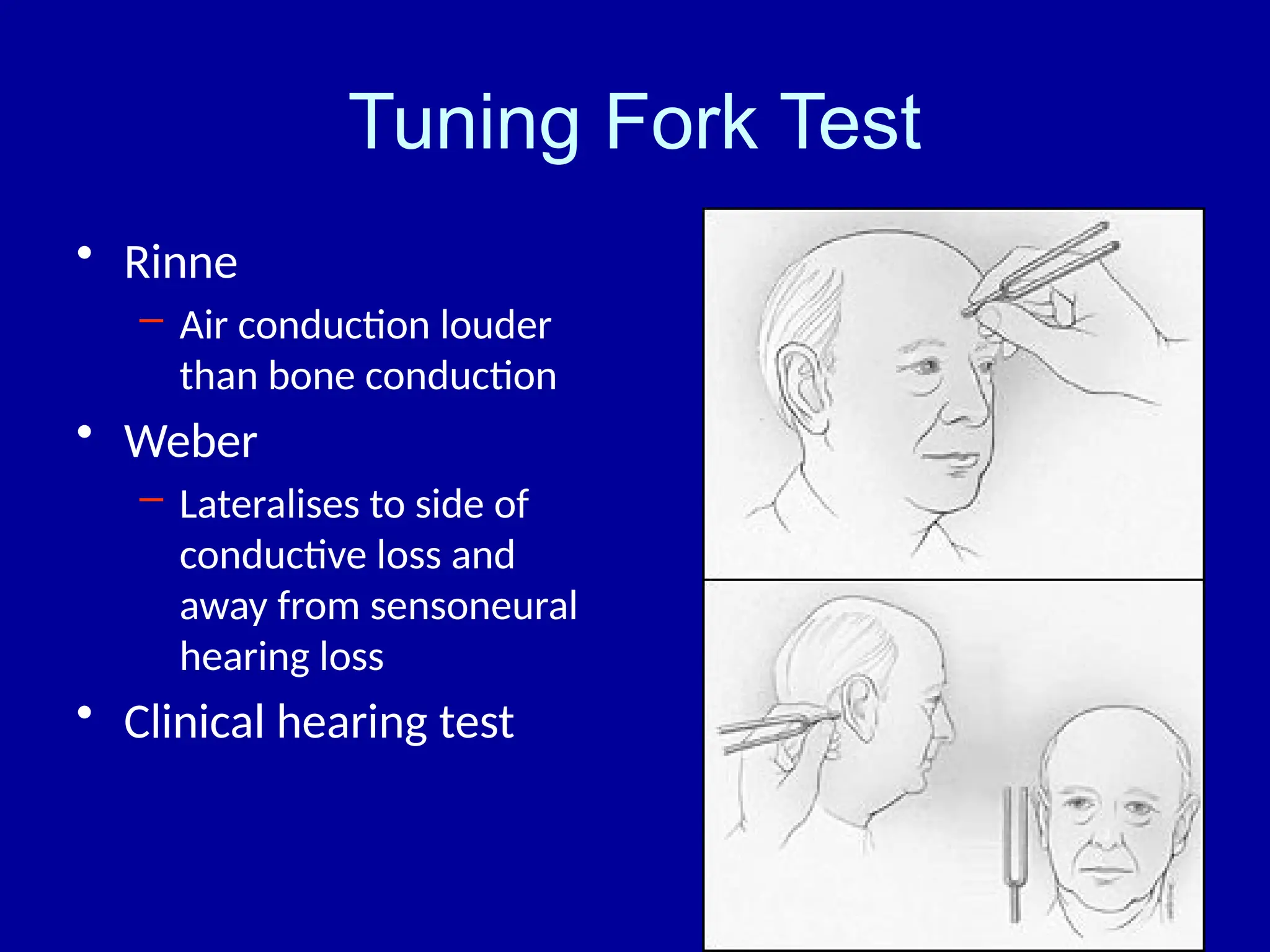 Ear Nose and throat Introduction with brief explanation | PPTX
