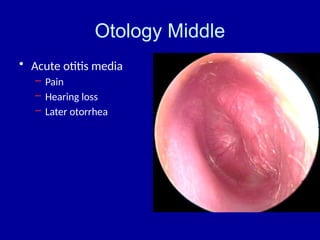 Ear Nose and throat Introduction with brief explanation | PPTX