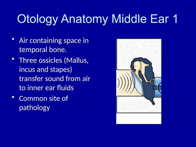 Ear Nose and throat Introduction with brief explanation | PPT
