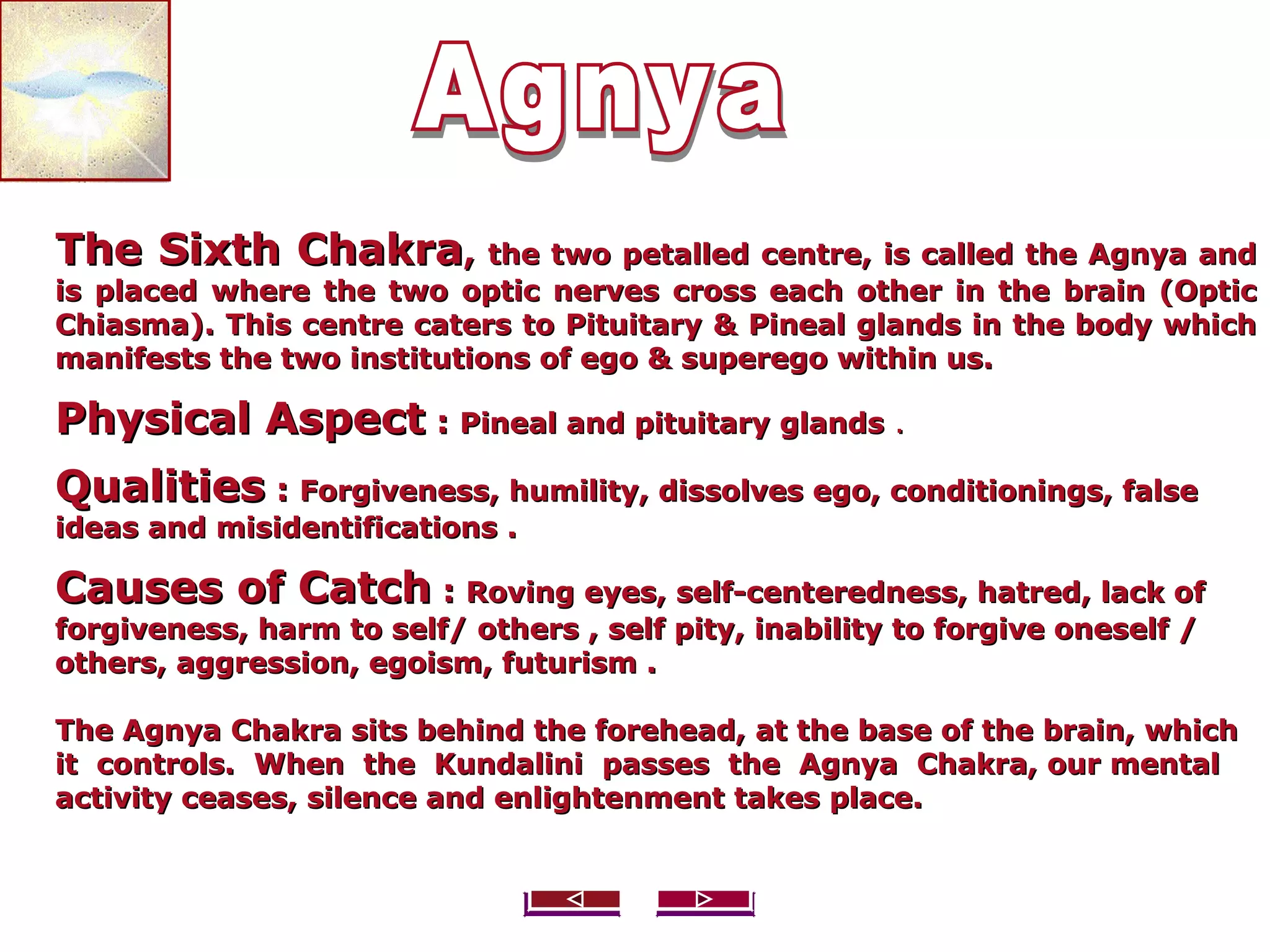 Sahaja Yoga : Chakras & Nadis - The Subtle System | PPT