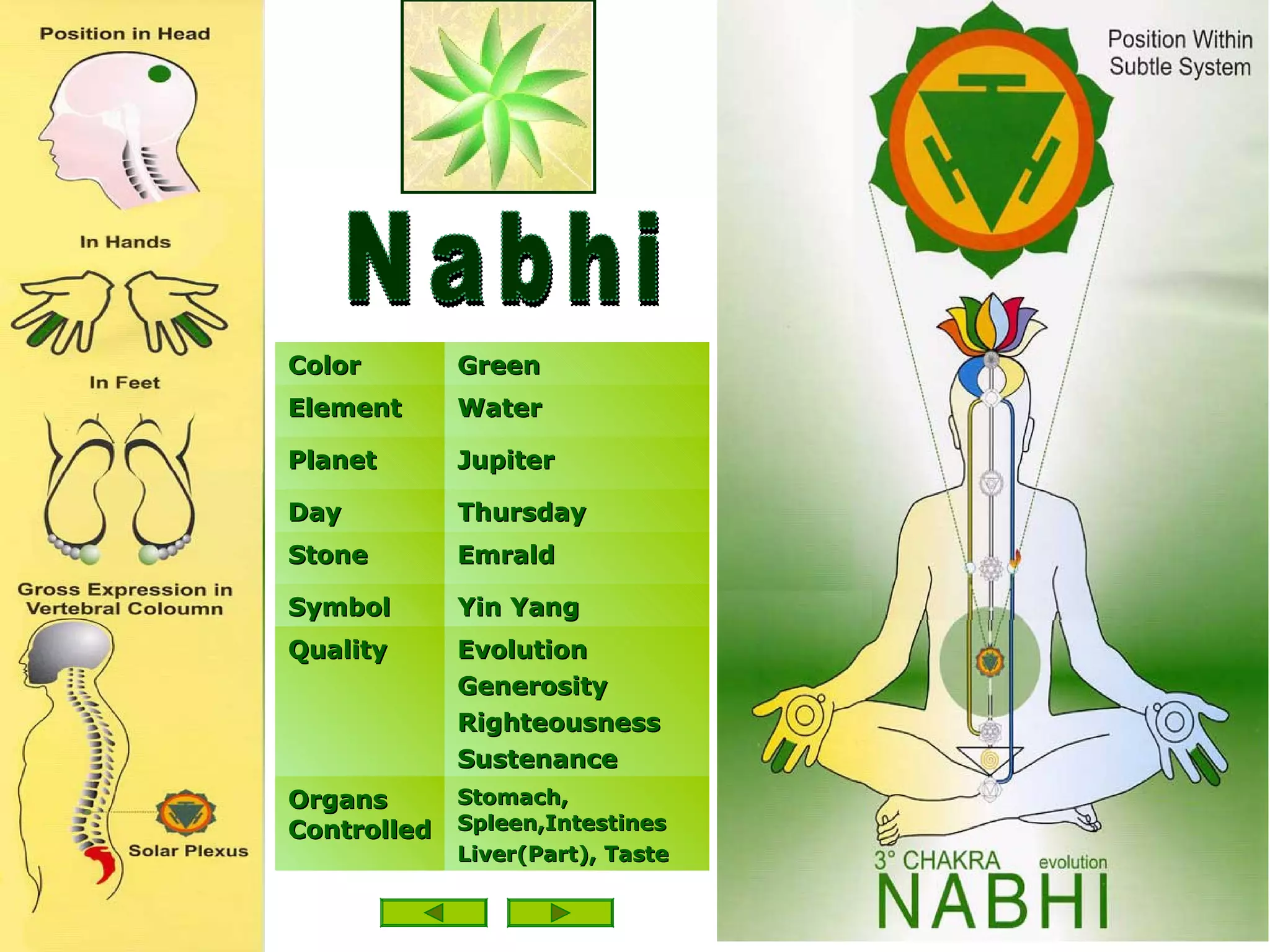 Sahaja Yoga : Chakras & Nadis - The Subtle System | PPT