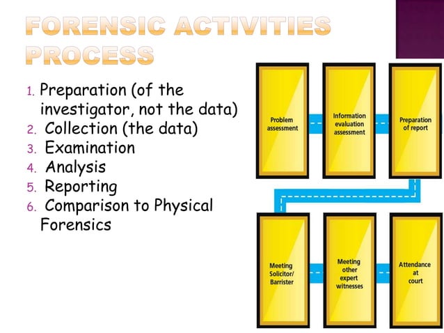 Entire forensic accounting project | PPTX