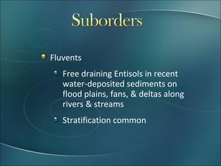 Entisols Presentation | PPT