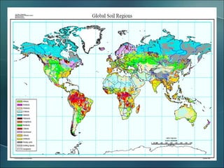 Entisols Presentation | PPT