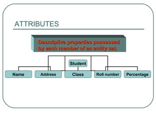 Entity Relationship Diagram2 | PPT