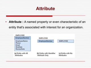 Entity relationship-diagrams | PPT