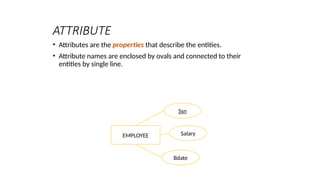 ENTITY RELATIONSHIP DIAGRAM CONCEPTUAL.pptx