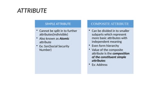 ENTITY RELATIONSHIP DIAGRAM CONCEPTUAL.pptx