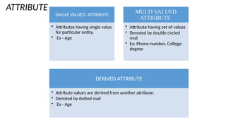 ENTITY RELATIONSHIP DIAGRAM CONCEPTUAL.pptx