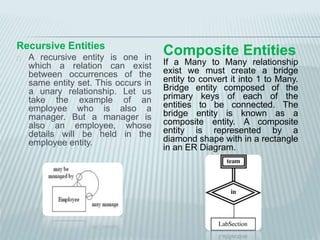 Entity (types, attibute types) | PPTX