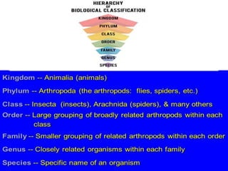 fundamental of entomology all in one topics of entomology | PPTX