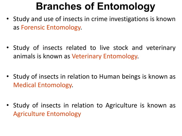fundamental of entomology all in one topics of entomology | PPTX ...