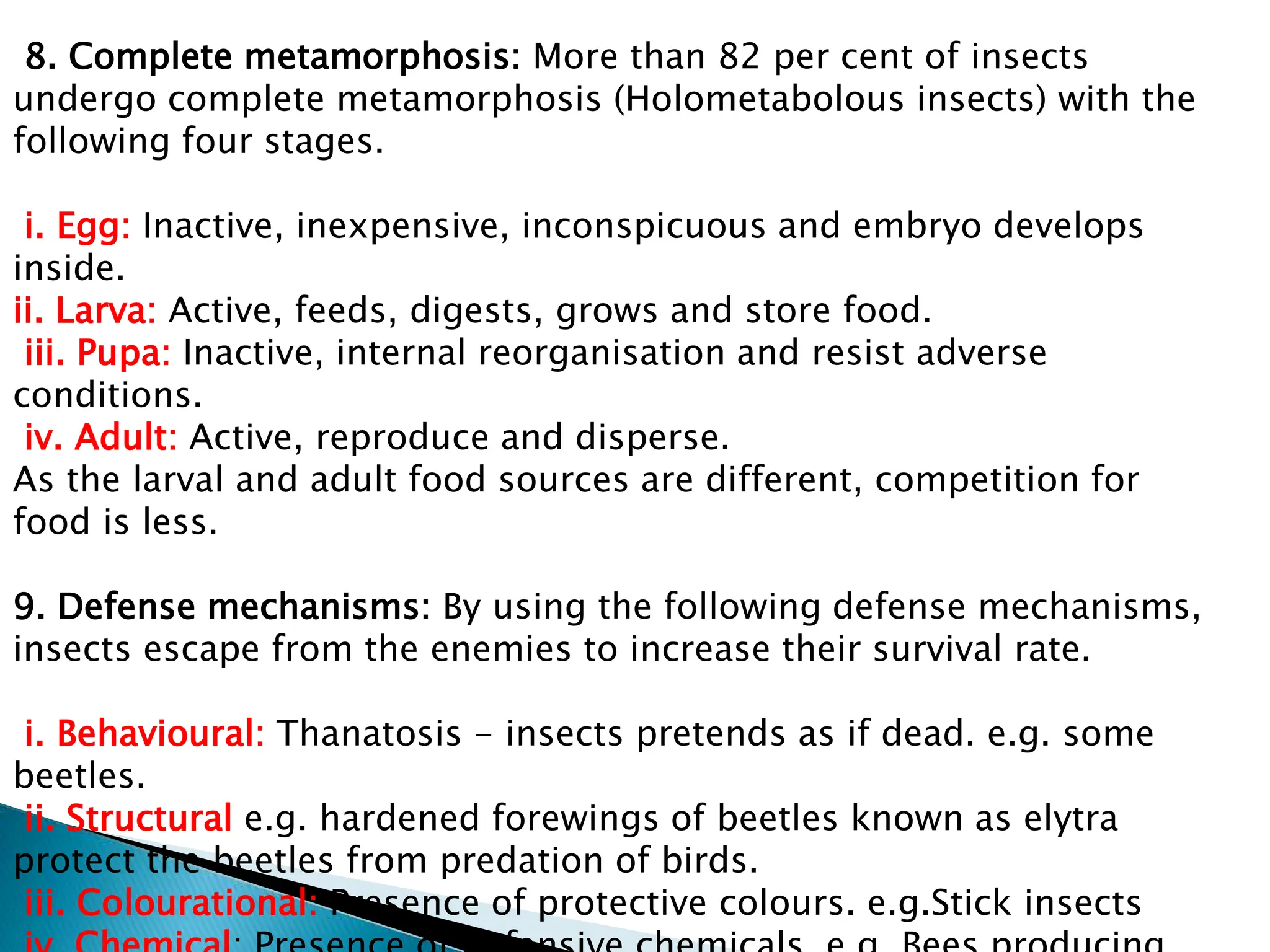 basic entomology with all the anatomy of an insect | PPTX