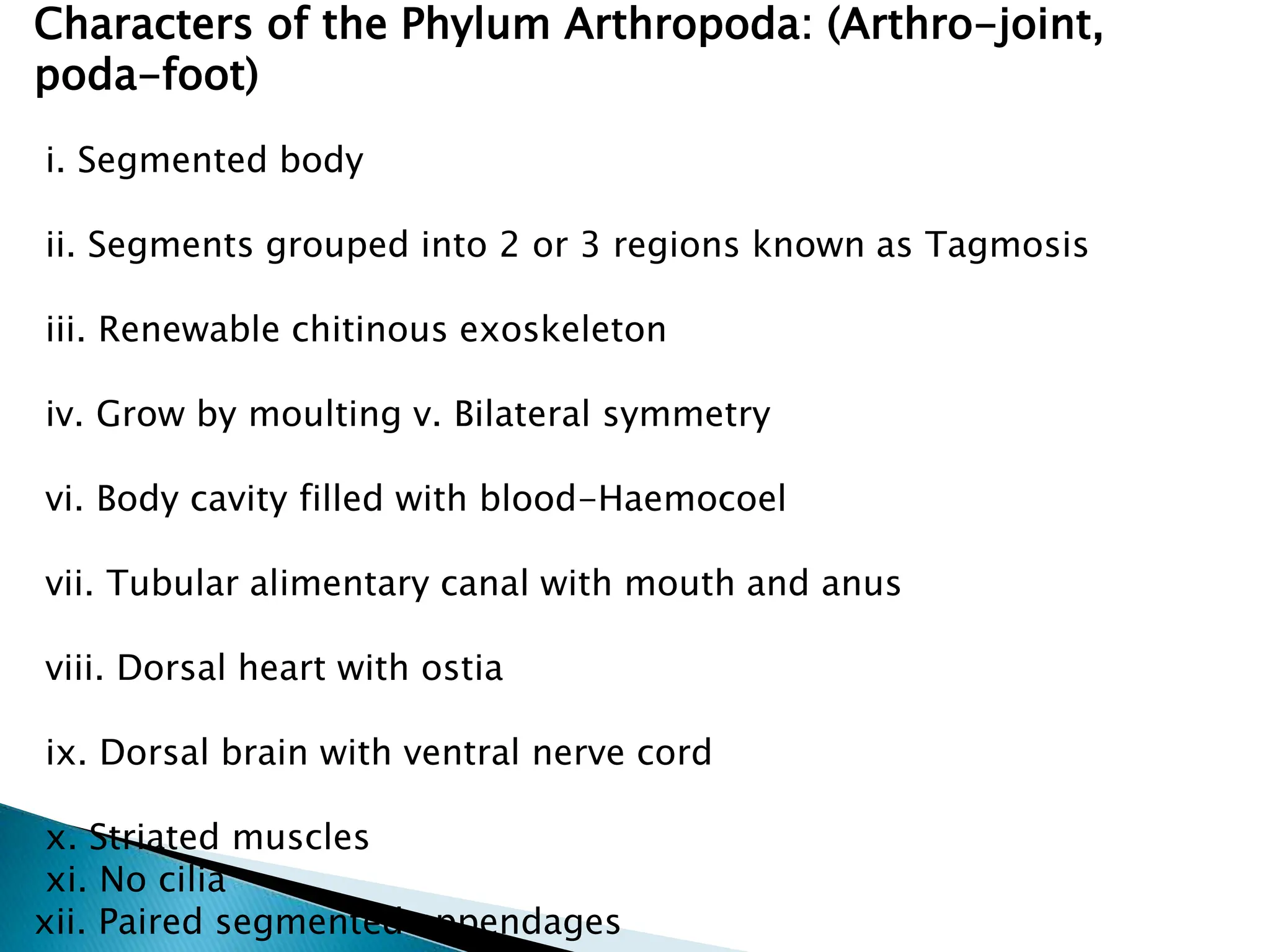 basic entomology with all the anatomy of an insect | PPTX