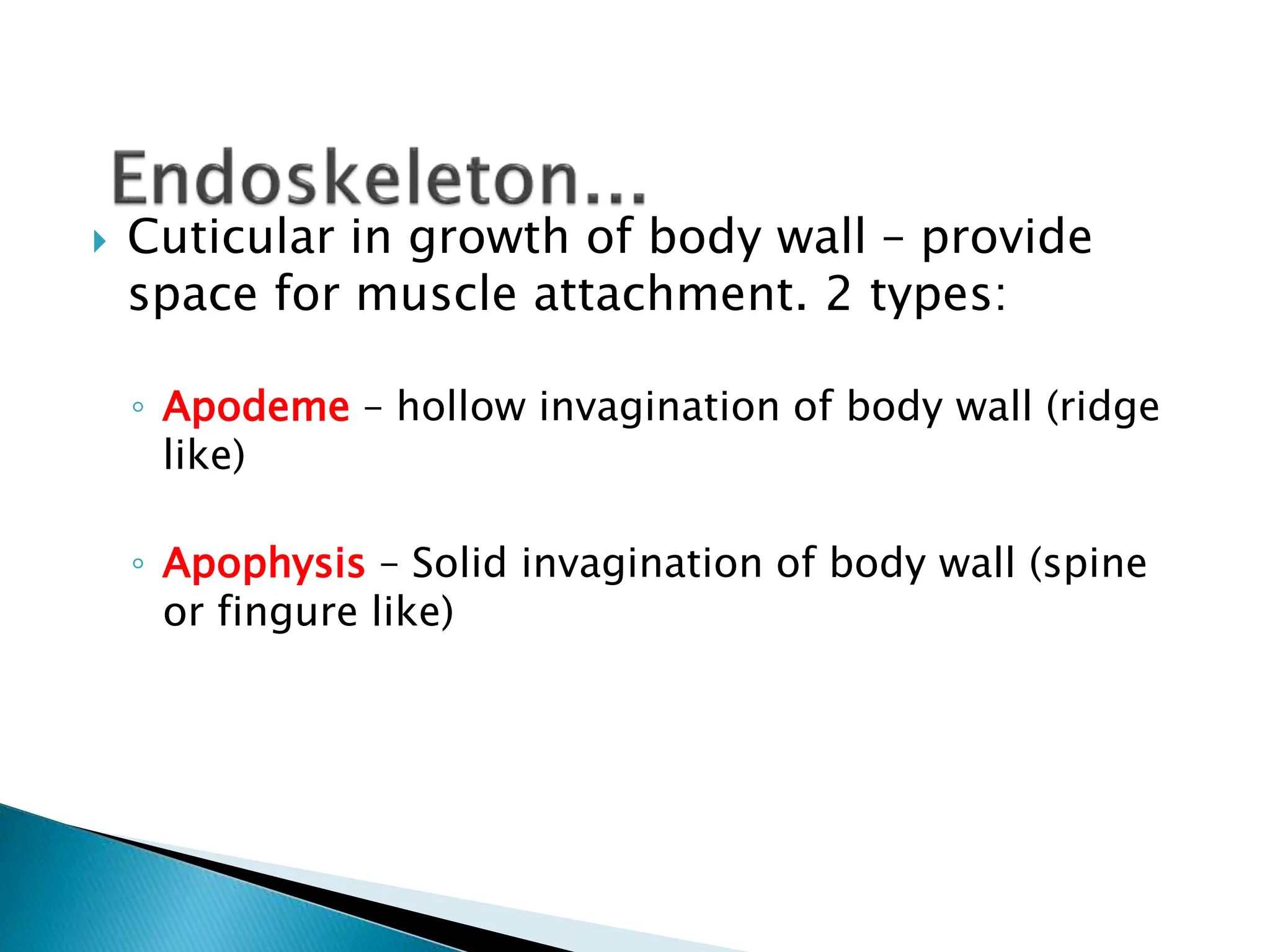 basic entomology with all the anatomy of an insect | PPTX