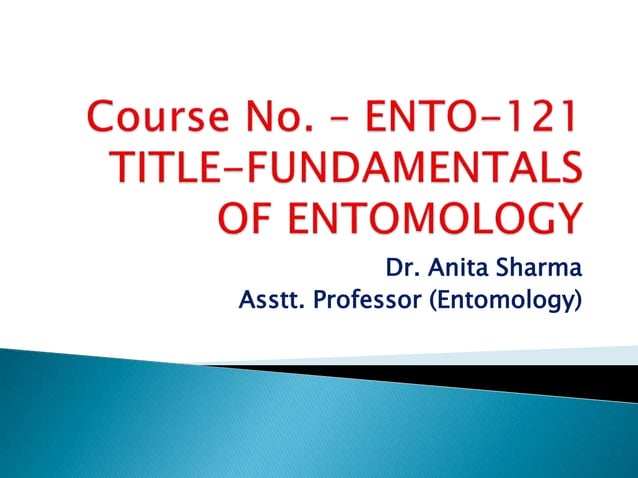 basic entomology with all the anatomy of an insect | PPTX | Beekeeping ...