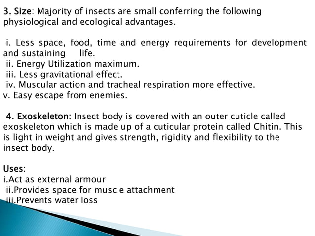 basic entomology with all the anatomy of an insect | PPTX | Beekeeping ...