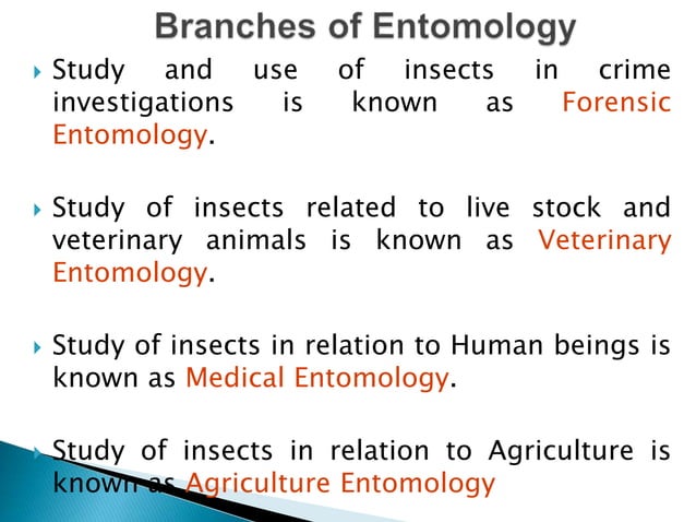 basic entomology with all the anatomy of an insect | PPTX | Beekeeping ...