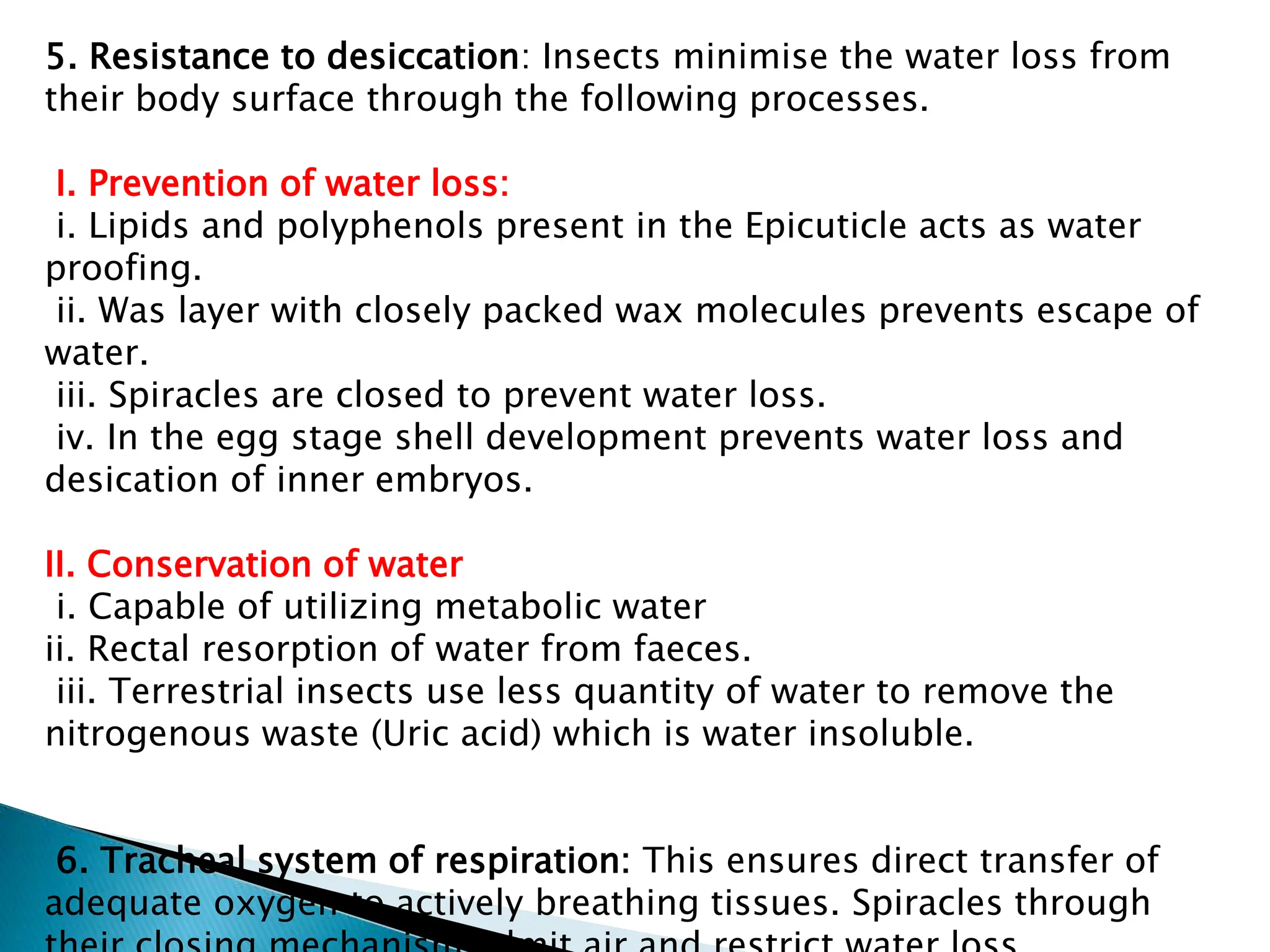 insect morphology and physiology of insect | PPTX