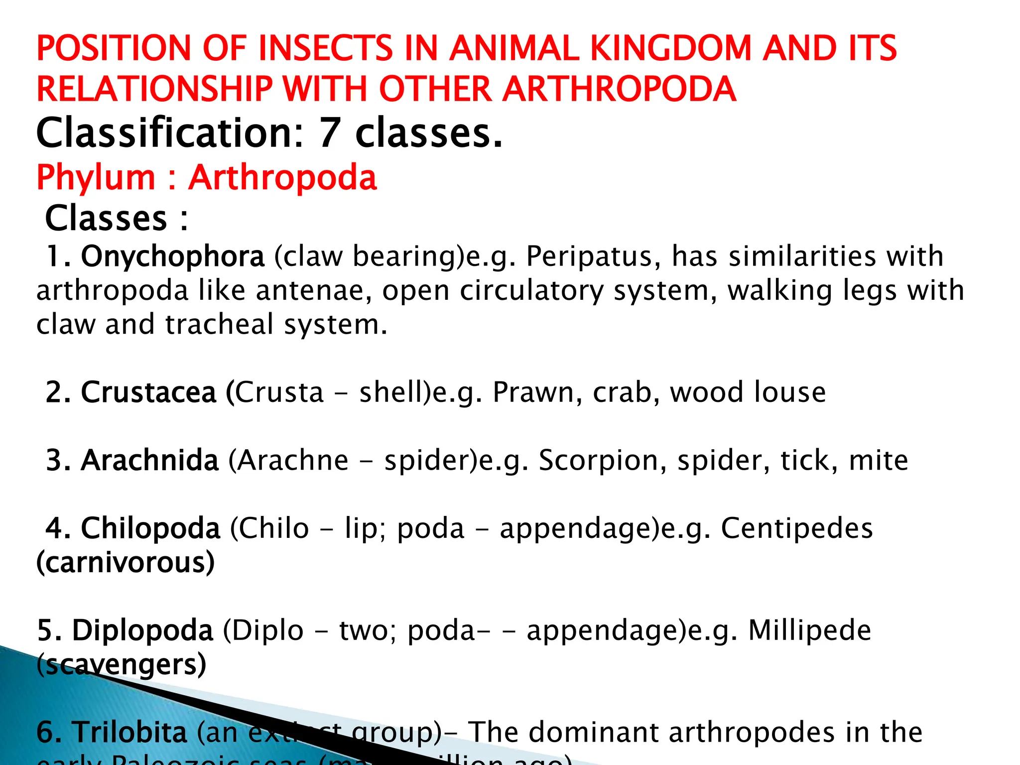insect morphology and physiology of insect | PPTX