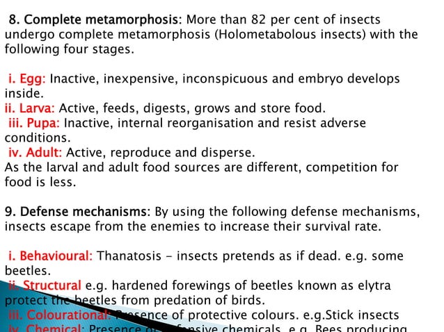 insect morphology and physiology of insect | PPTX | Beekeeping ...