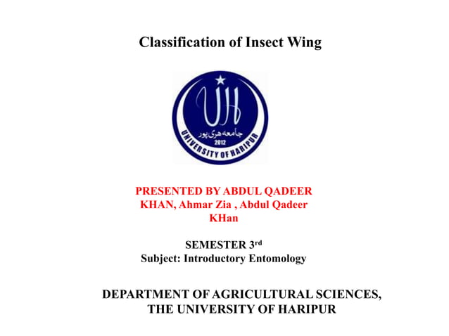 Classification insect wing | PPT