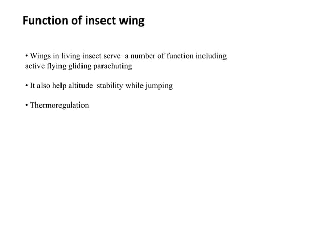 Classification insect wing | PPT