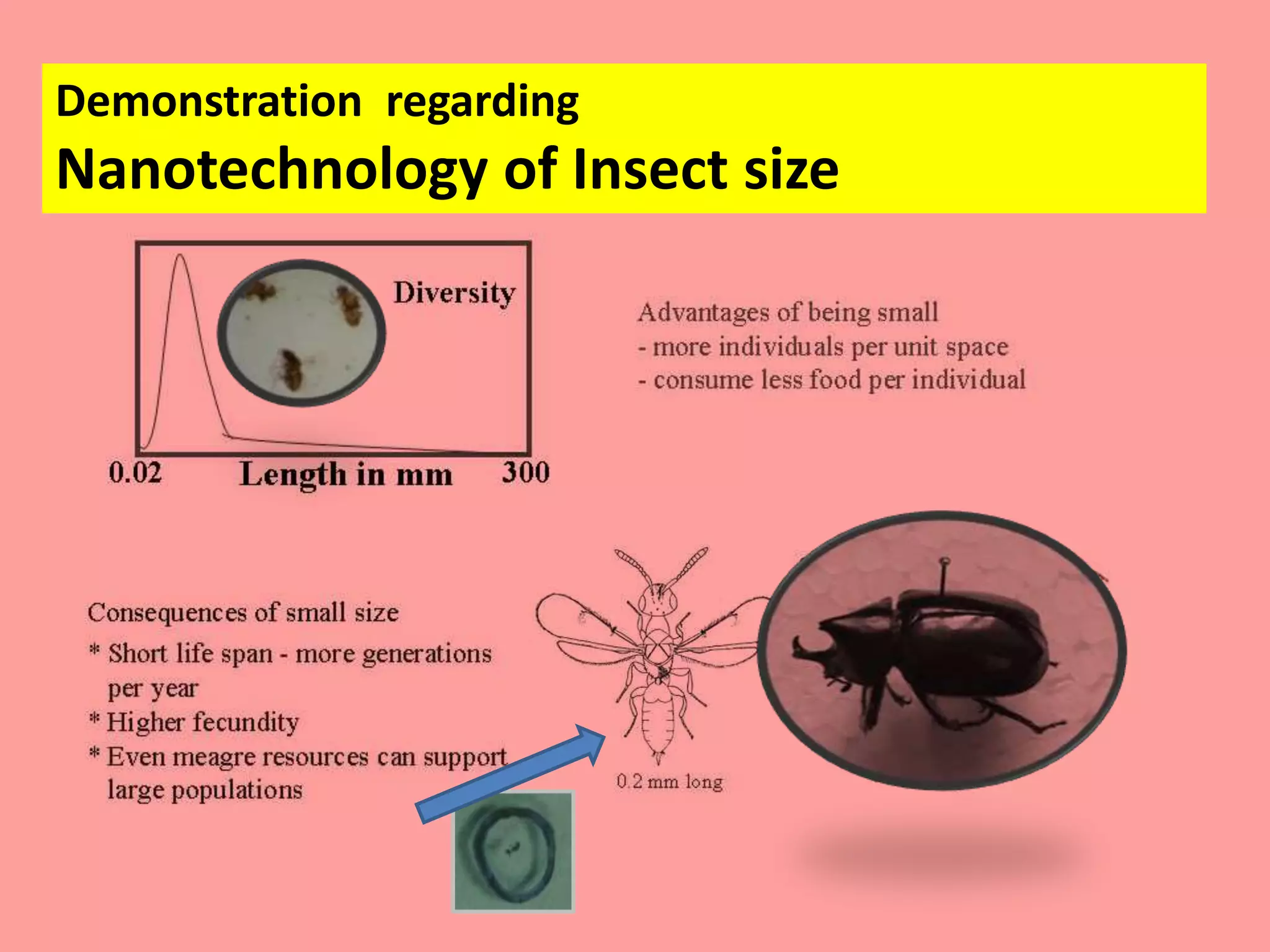 Entomology Laboratory at a glance (Slides 103) | PPTX