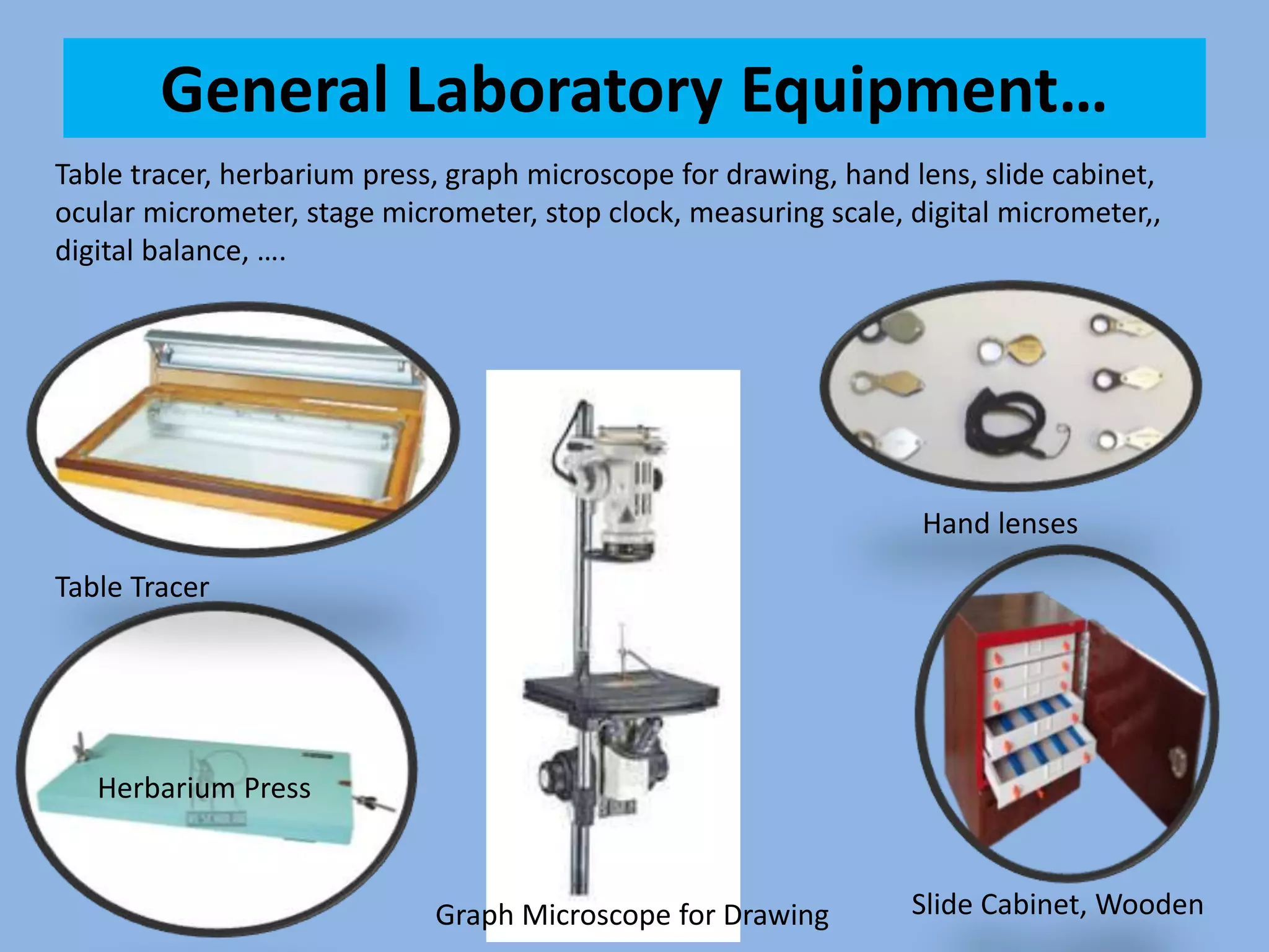 Entomology Laboratory at a glance (Slides 103) | PPTX
