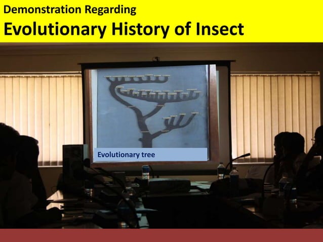 Entomology Laboratory at a glance (Slides 103) | PPTX
