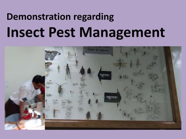 Entomology Laboratory at a glance (Slides 103) | PPTX