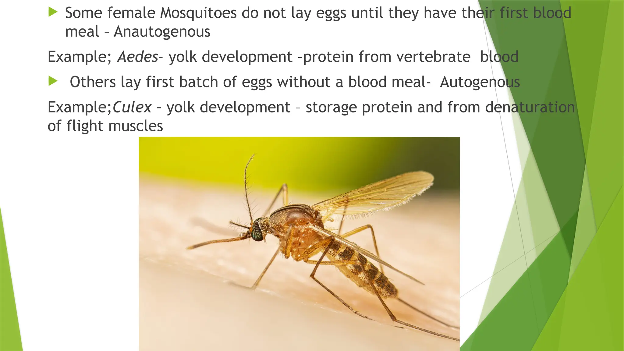 Insect physiology : processes and reviews | PPT | Free Download