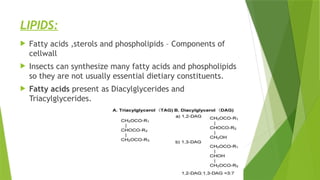 Insect physiology : processes and reviews | PPTX