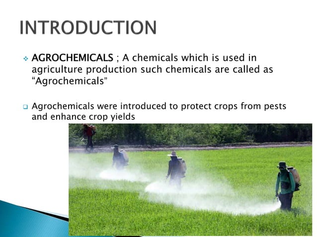 agrochemicals, herbicides, fungicides and insecticides | PPTX