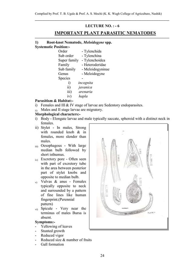 ENTO-364_(Introductory_Nematology).pdf