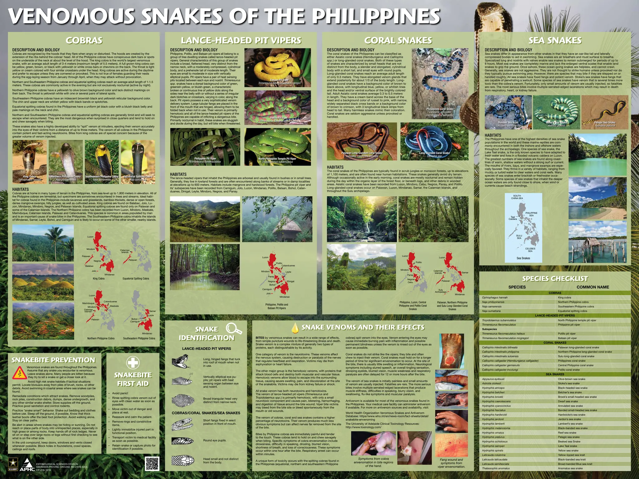 ento-snakes-philippines-poster.pdf snakes.......... | PDF