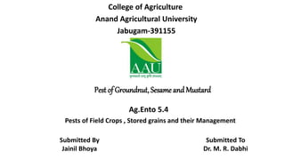 Pest of groundnut, sesame and mustard. | PPT