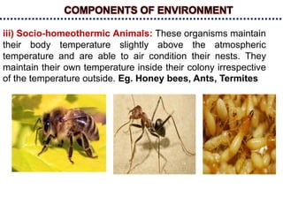 ENTO 231_L.No.1_Ecology.ppt