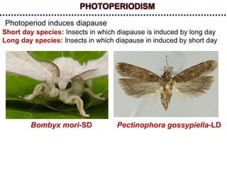 ENTO 231_L.No.2_Effect of Abiotic factors_SSNAIK 1 - Copy.ppt