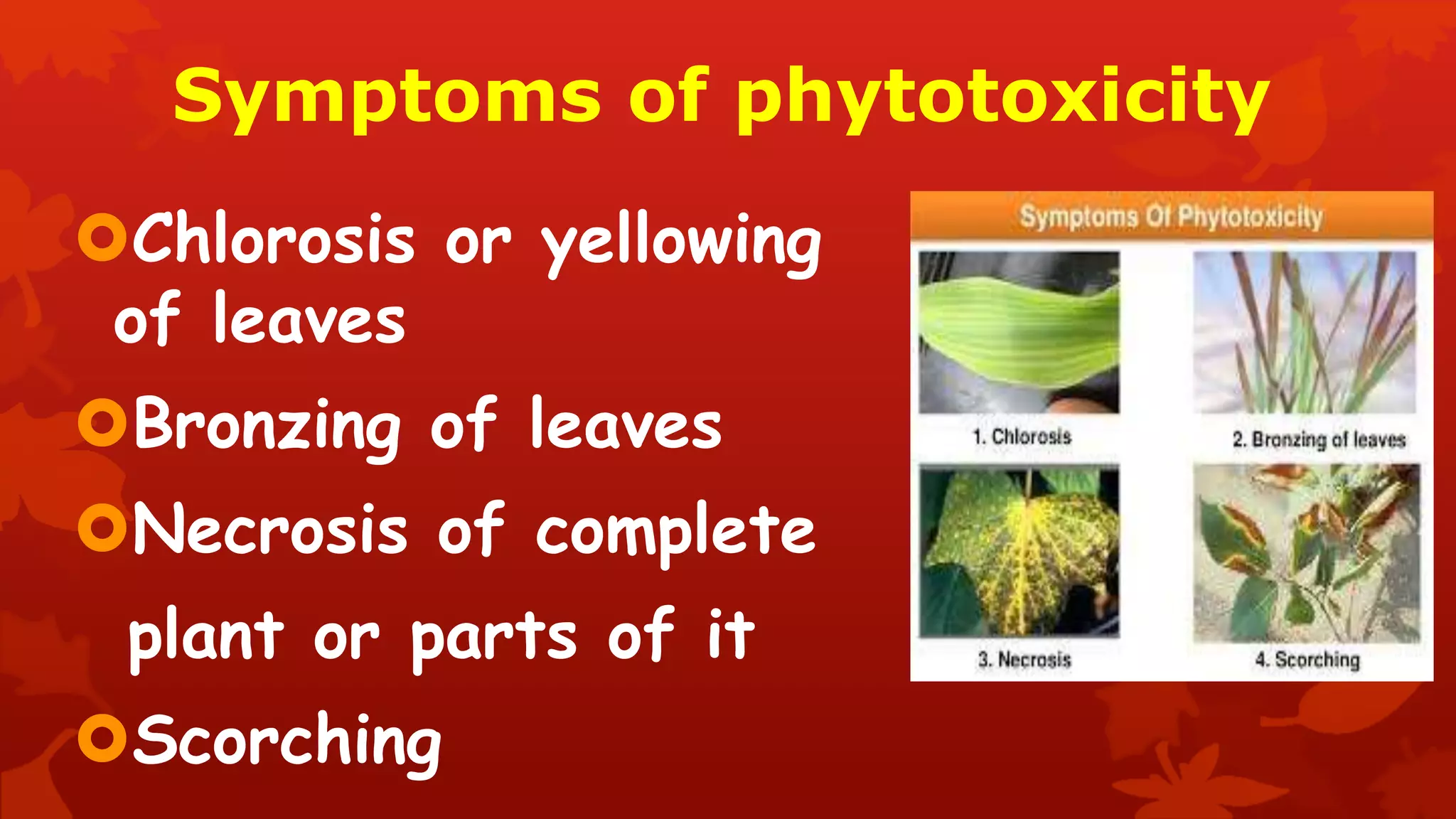 Phytotoxicity | PPTX