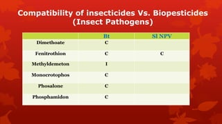 Phytotoxicity | PPTX