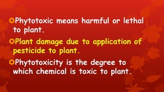 Phytotoxicity | PPTX