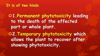 Phytotoxicity | PPTX