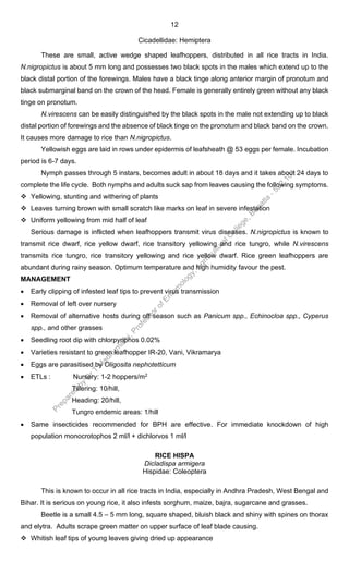 ENTO 331, Pests of Field Crops, Stroed Grains and their Management 12. ...