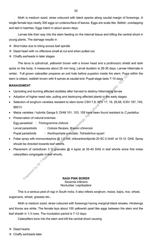 ENTO 331, Pests of Field Crops, Stroed Grains and their Management 12.04.2020.pdf | Beekeeping ...