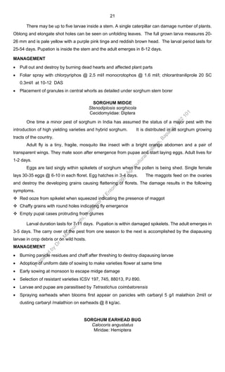 ENTO 331, Pests of Field Crops, Stroed Grains and their Management 12. ...
